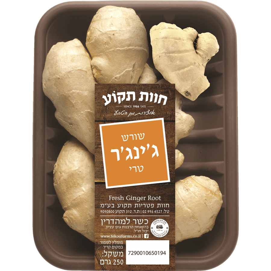 Ginger Root – Shoppy Supermarket Israel