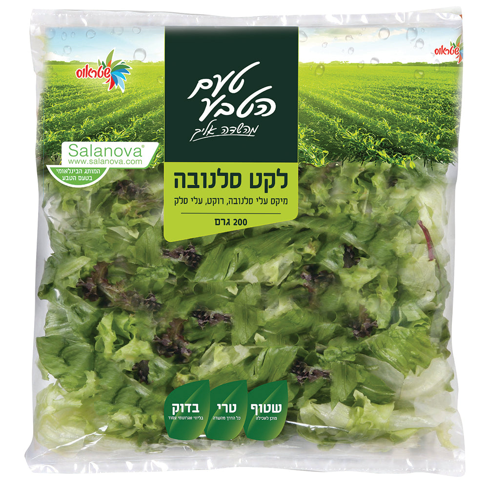 Salanova Lettuce – Shoppy Supermarket Israel